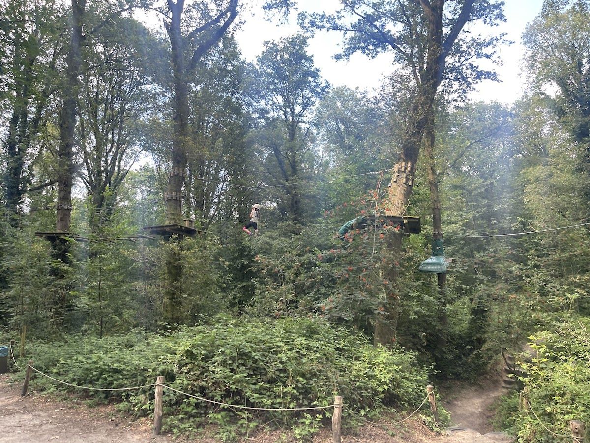 Fun Forest Venlo - Uit Met Kinderen