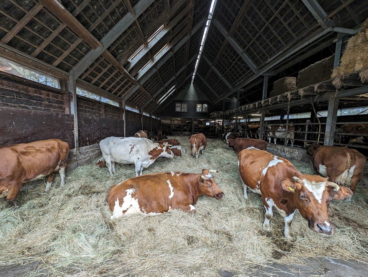 Bounce Valley Eindhoven - Uit Met Kinderen