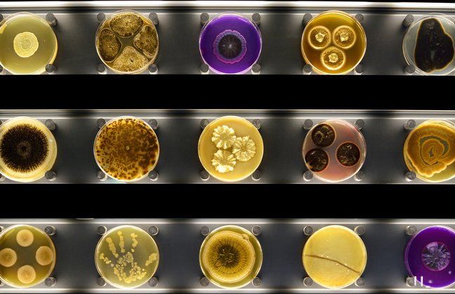 Museumjaarkaart - Uit Met Kinderen