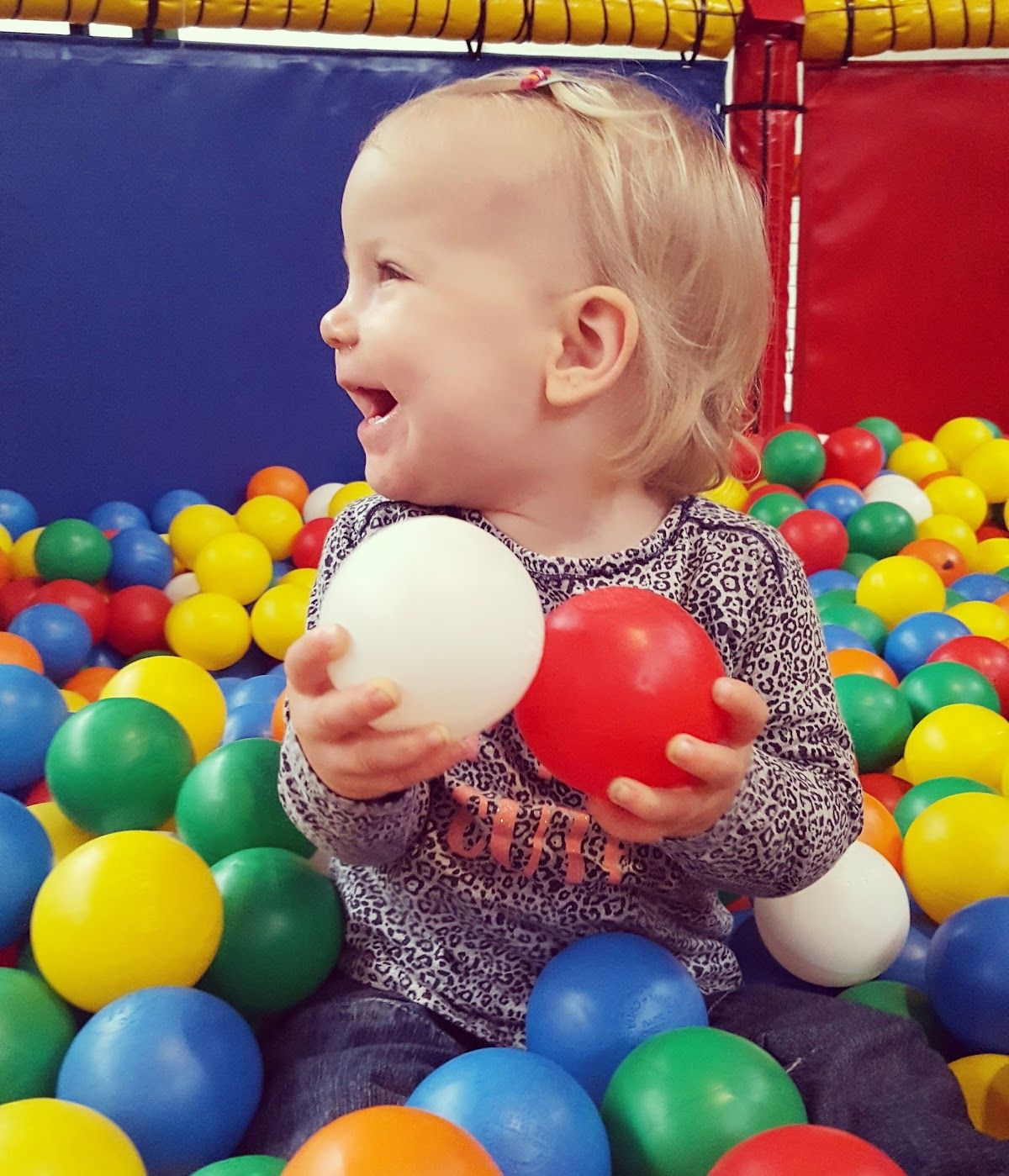 Ballorig Gouda - Kinderfeestje.nl