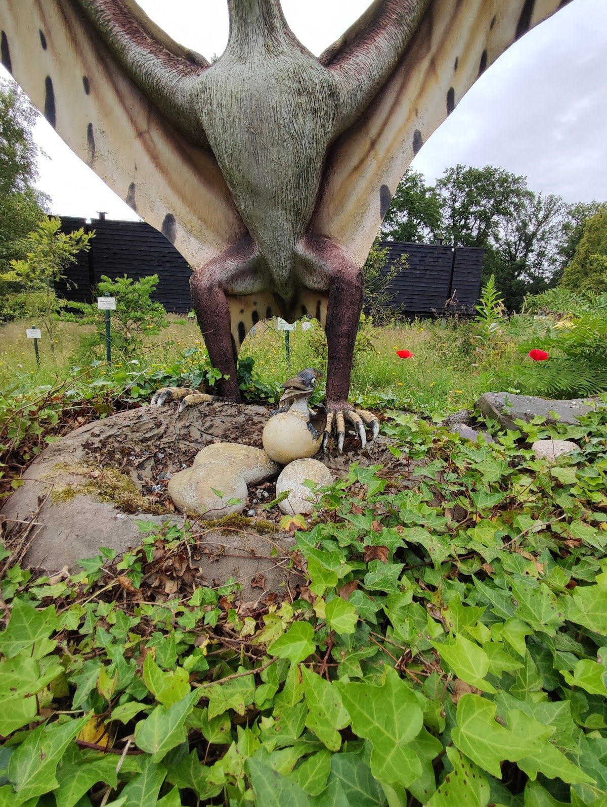 Oertijdmuseum Boxtel - Uit Met Kinderen