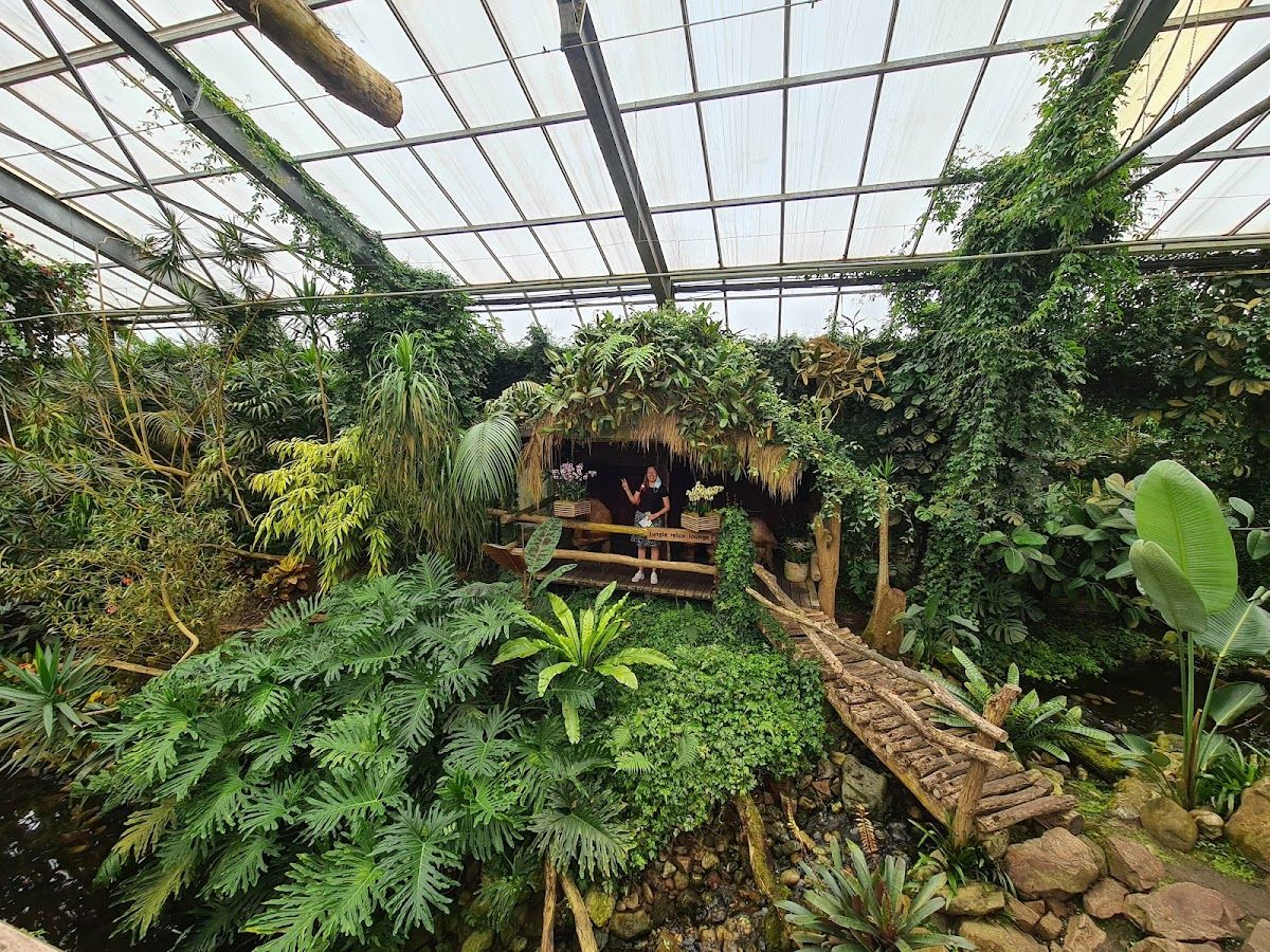 Pantropica - Uit Met Kinderen