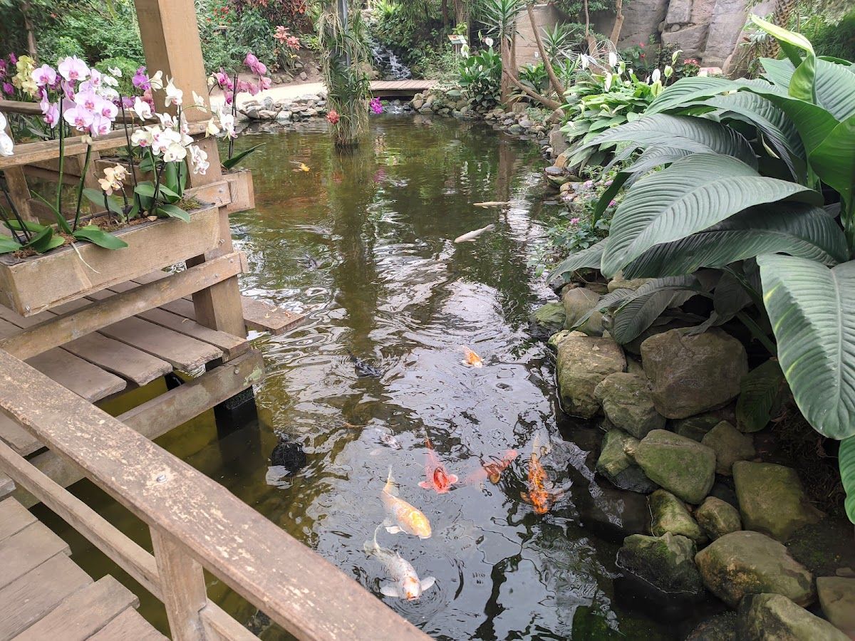 Pantropica - Uit Met Kinderen