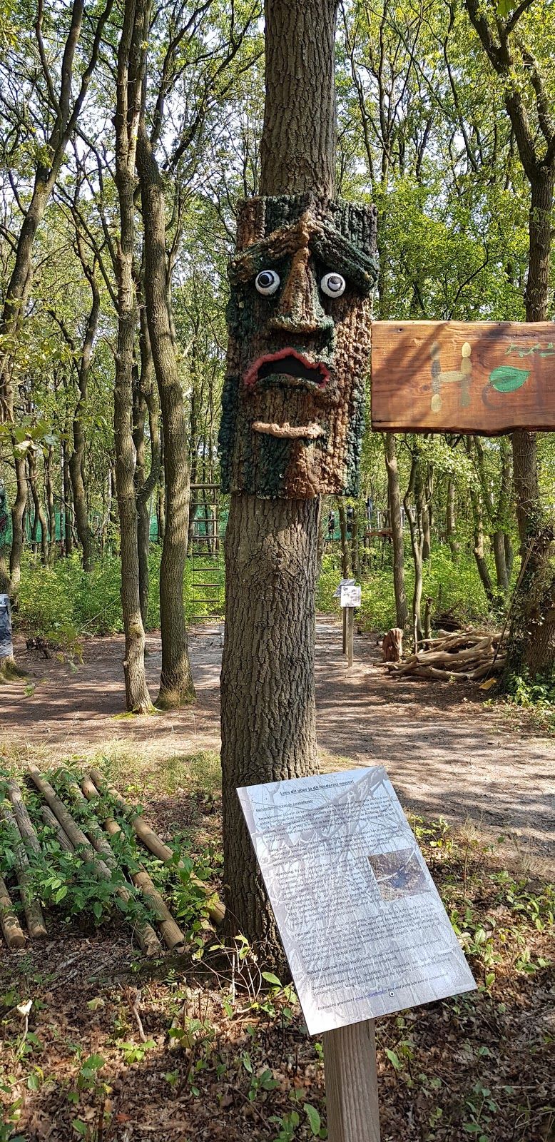 Outdoor Grolloo, Klimpark - Uit Met Kinderen