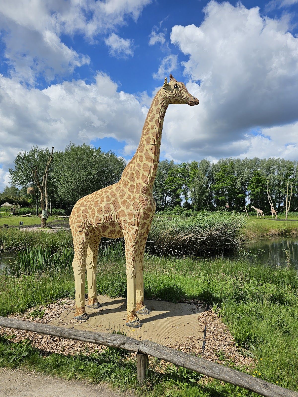 Zoo Parc Overloon - Uit Met Kinderen