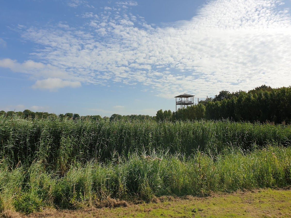 Klimpark Twiske - Uit Met Kinderen